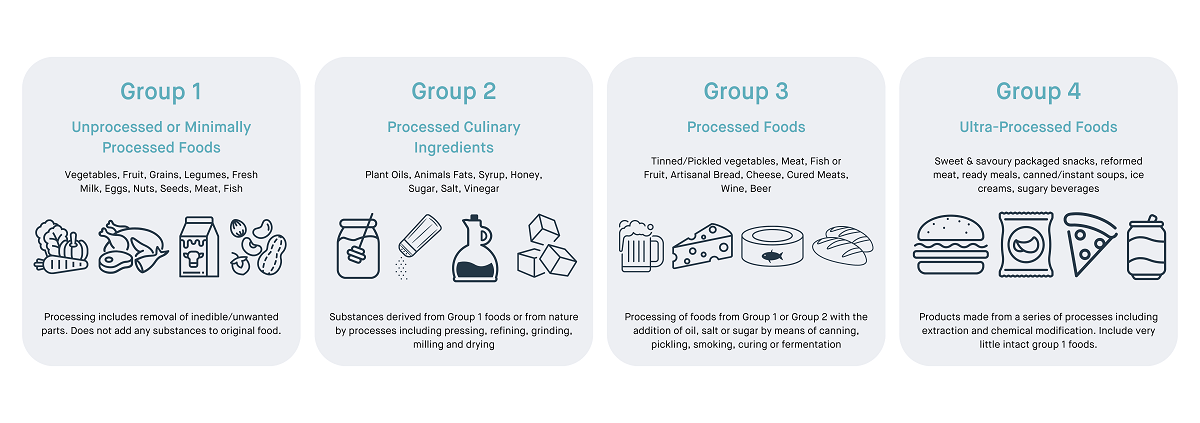 Issue #2 - How Could the Ultra Processed Foods Debate Influence Food ...